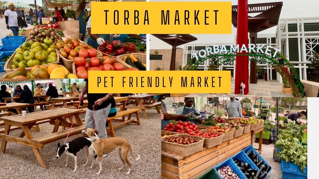 Torba Market One and Only Pet Friendly Market / Doha - YouTube