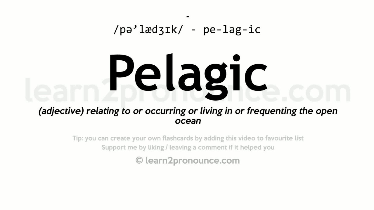 Pronunciation of Pelagic | Definition of Pelagic - YouTube