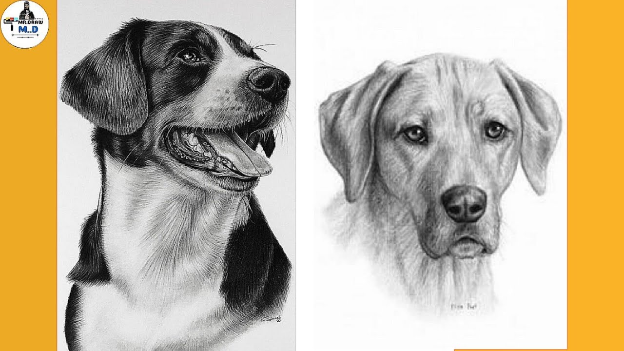 how to draw realistic dog sketch ! easy dog drawing 2 in 1 - YouTube