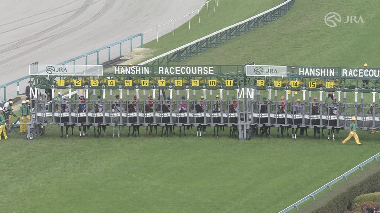 2024 OSAKA HAI (G1) | JRA Official - YouTube