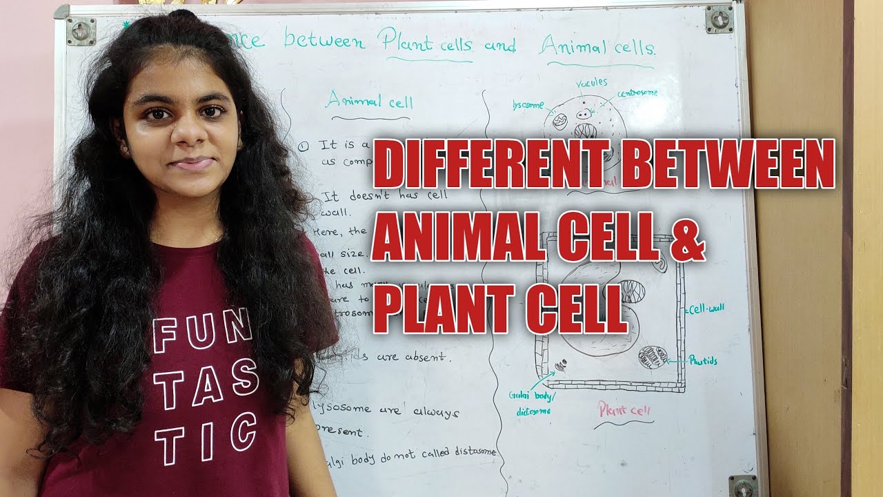 Difference Between Animal Cell & Plant Cell | Pushti Shah - YouTube