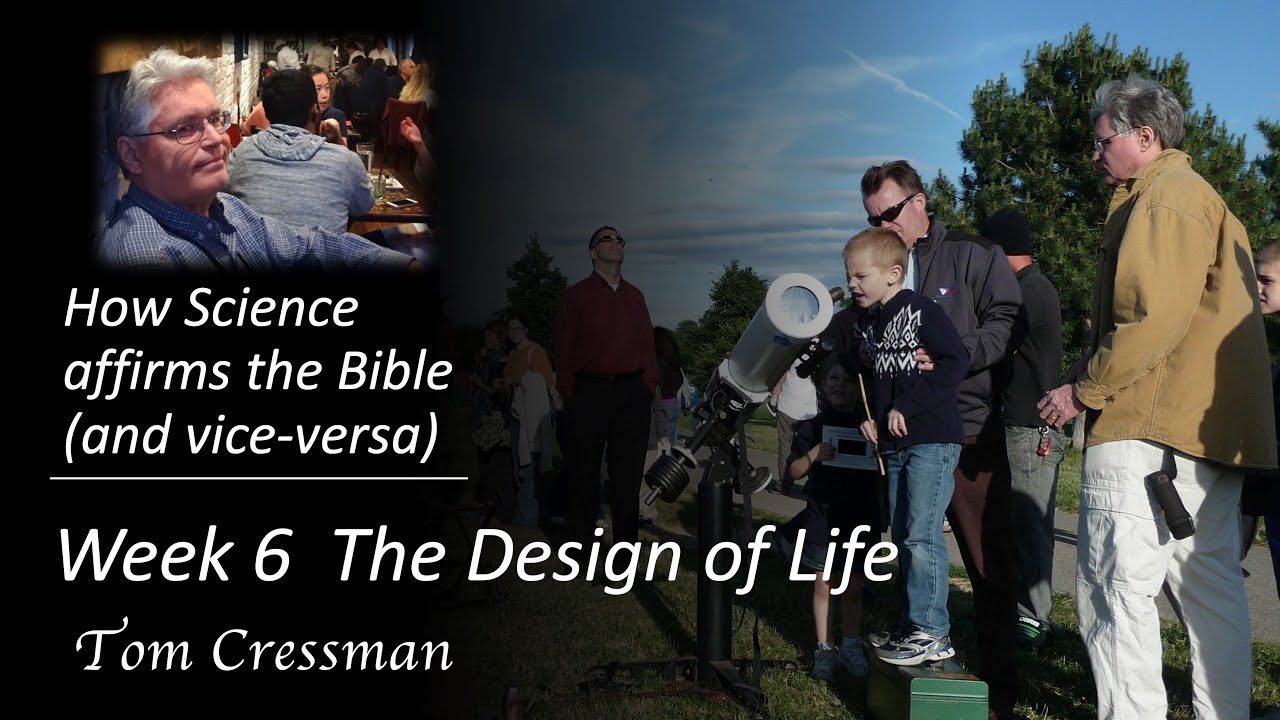 Week 6: The Design of Life - YouTube