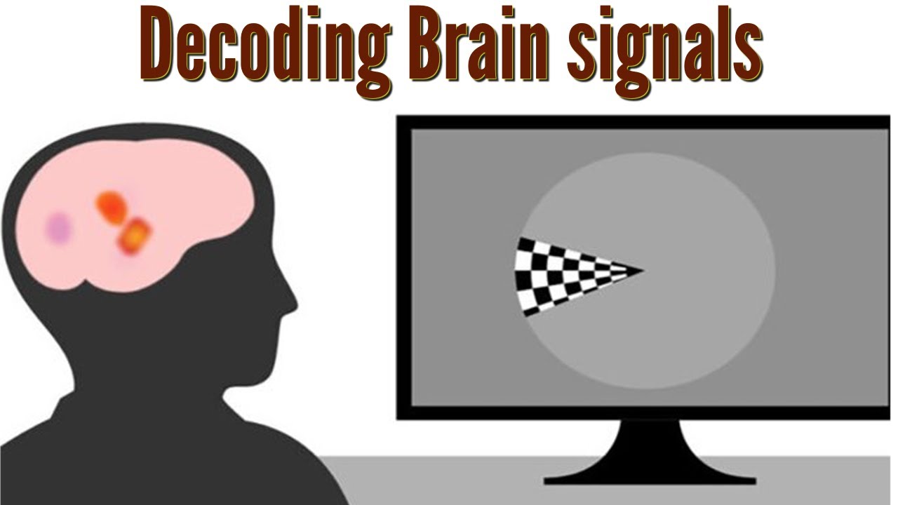 Brain signals decoded to determine what a person sees | HD-DOT - YouTube