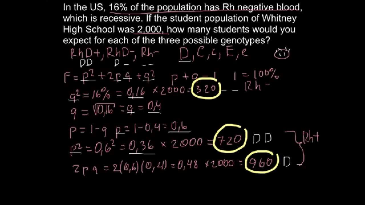 Rh blood types and population genetics - YouTube