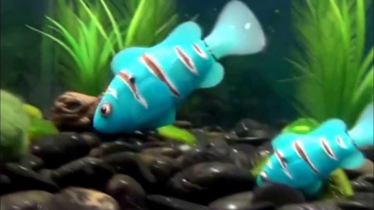 РобоРыбки в аквариуме - YouTube