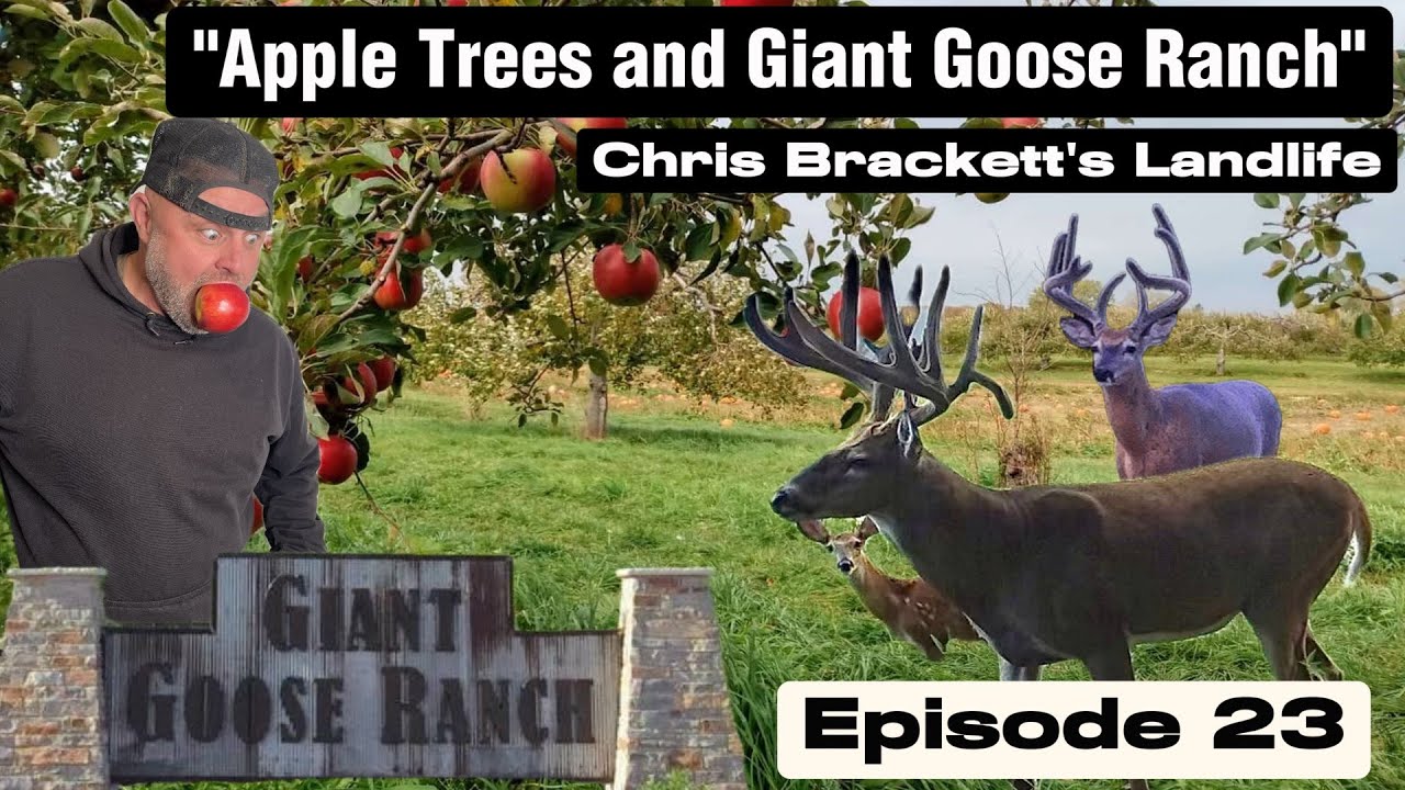Episode 23 Chris Brackett’s Landlife Podcast “Apple Trees, Giant Goose ...