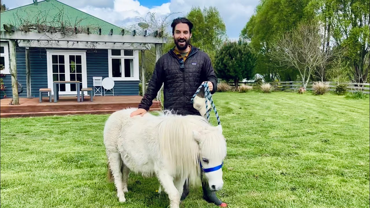 We Rescued an Abandoned Pony... | Horse Rescue on the Homestead - YouTube