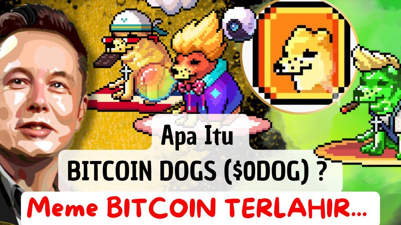 MEME BITCOIN DOGS ($0DOG) | INI PROJECT BESARNYA... - YouTube