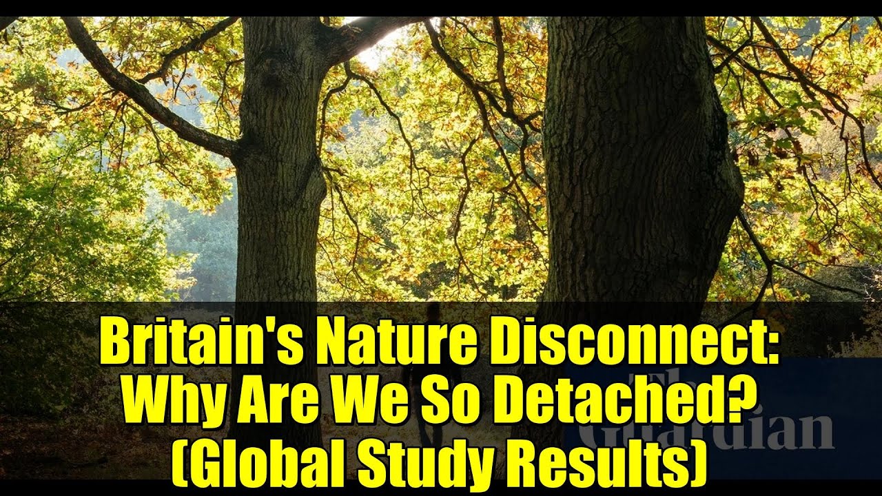 Britain's Nature Disconnect: Why Are We So Detached? (Global Study ...