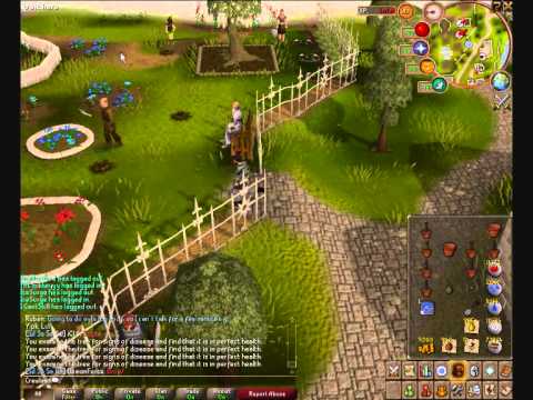 Fastest (fruit)tree run in Runescape