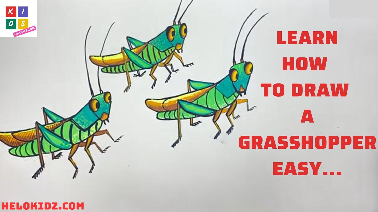 Easy and Fun: Learn How to Draw a Grasshopper Step-by-Step for Kids ...