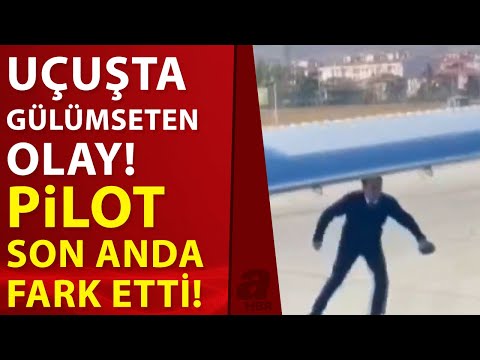 Pilot ve teknisyen pistteki kaplumbağanın hayatını kurtardı... O anlar kamerada! | A Haber