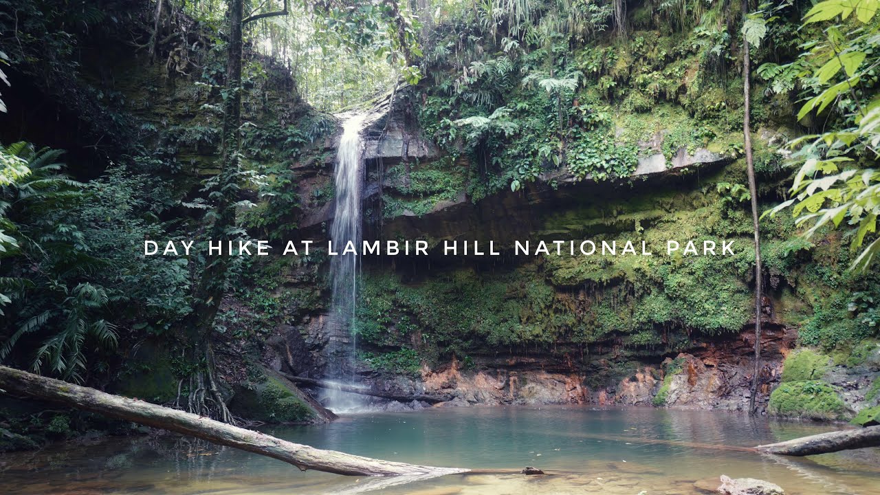 Day Hike to Pantu Waterfall/ Lambir Hill / Pure Nature Sound - YouTube