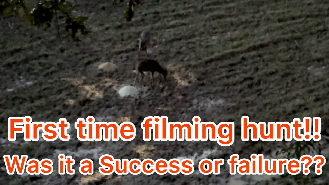 My First time filming deer Hunt. How did I do? - YouTube