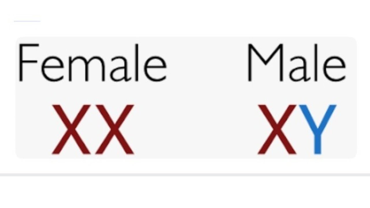 Pagan⭐Messiah ️Idol Keeps Many Stuck In This Matrix Just Worship The ...