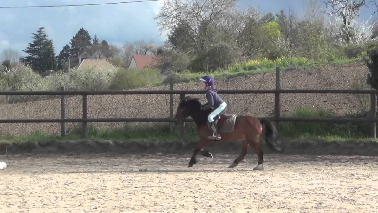 CSO 17 04 16 Emma & Titus - YouTube