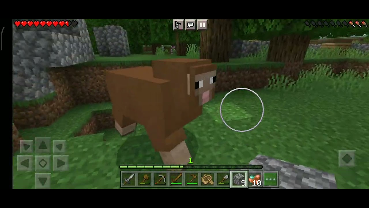 Dani craft episodio 2 - YouTube