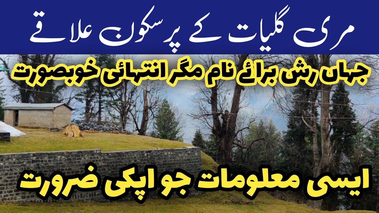 peaceful places of #murree galiyat | tour guide to murree nathiagali ...