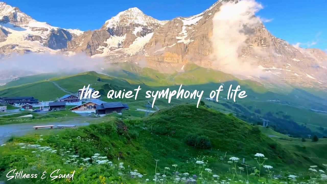 the quiet symphony of life -- (a playlist for tranquil days) - YouTube