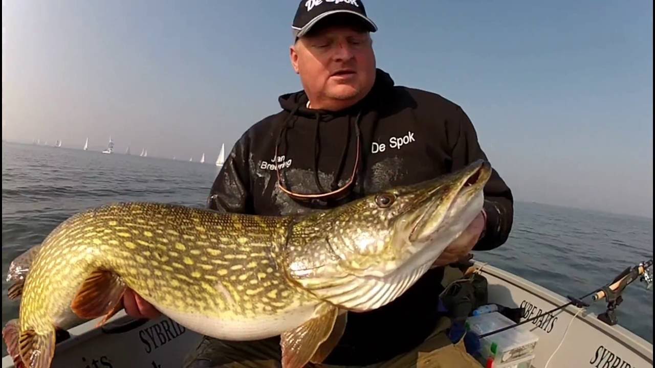 snoek vissen met kunstaas - YouTube