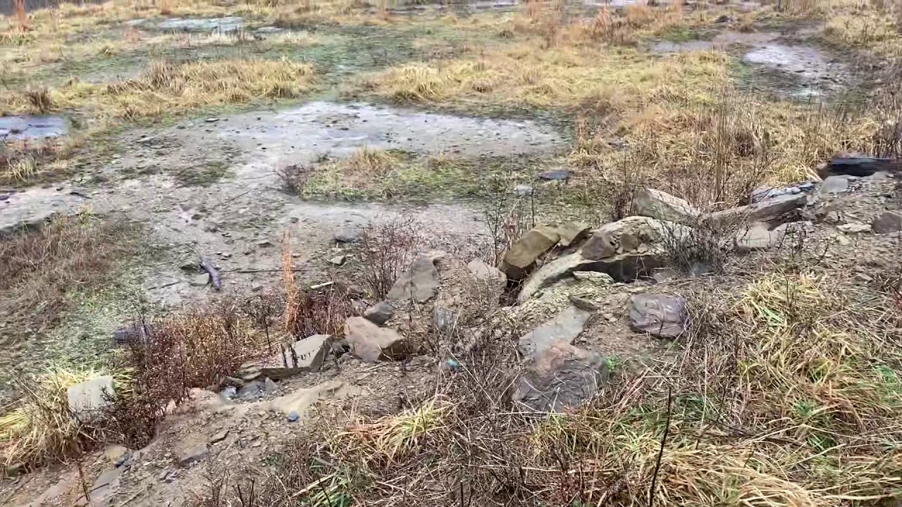 Checking traps on 1/3/2021 - YouTube