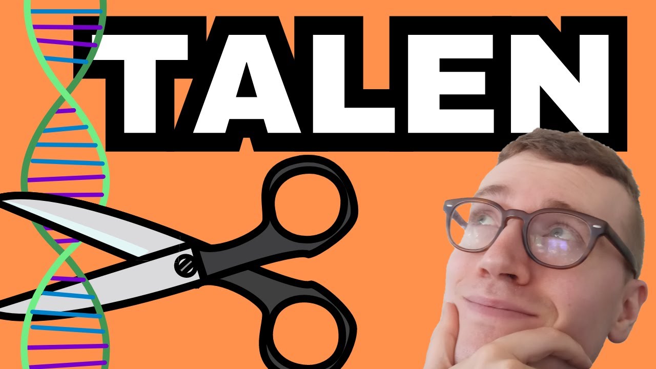 TALENs (Transcription Activator-Like Effector Nucleases) | Gene Editing ...