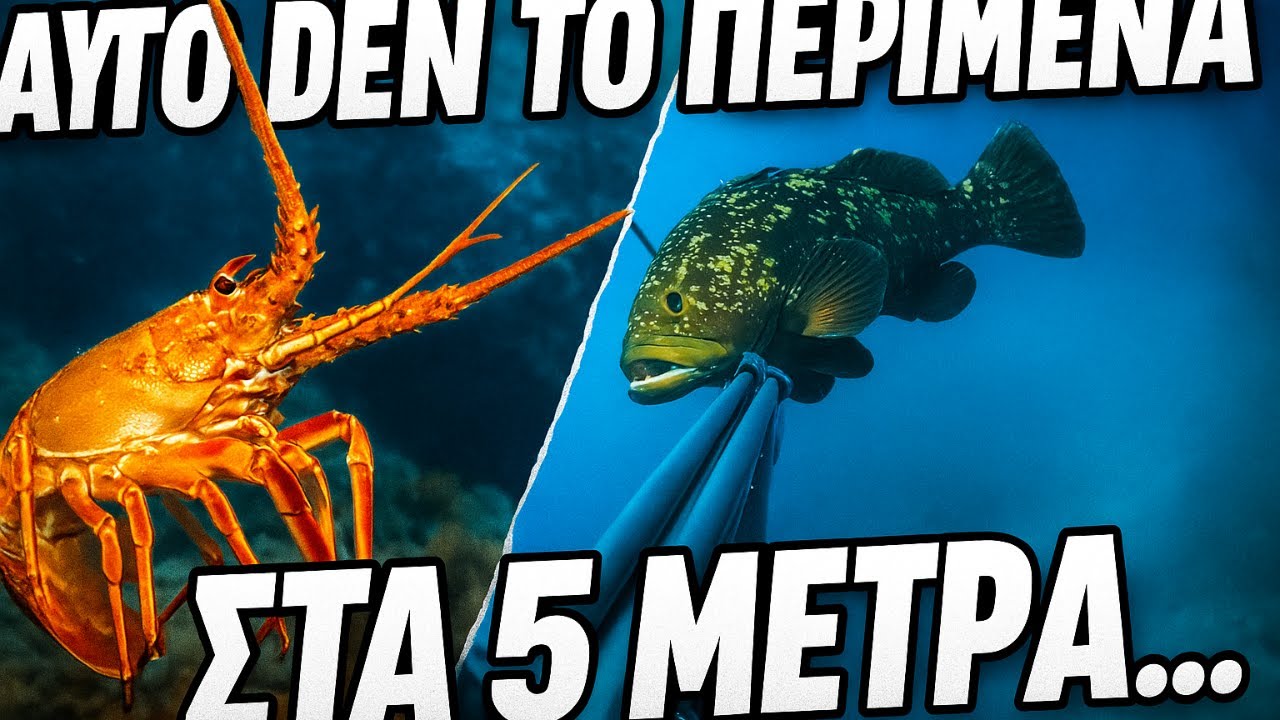 🔱ΑΥΤΟ ΔΕΝ ΤΟ ΠΕΡΙΜΕΝΑ ΣΤΑ 5 ΜΕΤΡΑ!🔱 - YouTube
