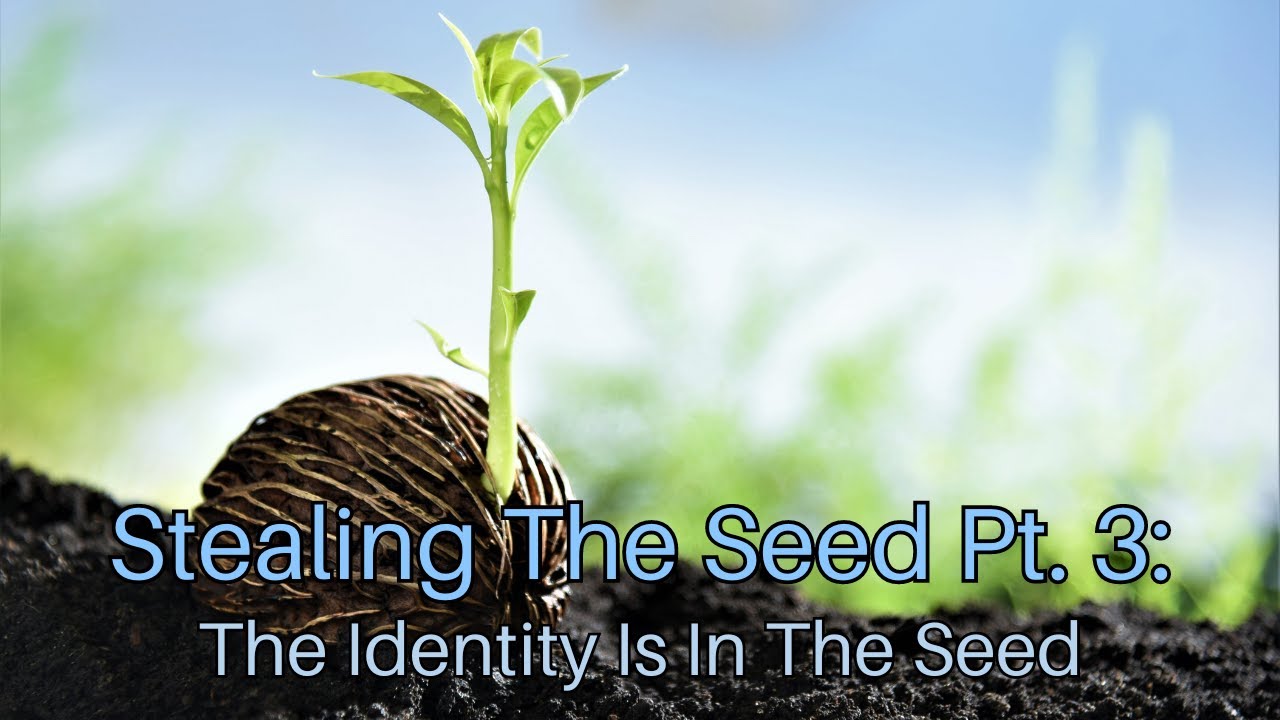 Stealing The Seed Pt. 3: The Identity Is In The Seed - YouTube