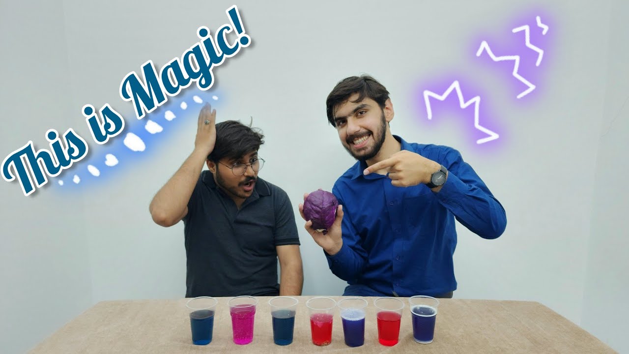 Red Cabbage Experiment || Colour Changing DIY pH Science Experiment ...