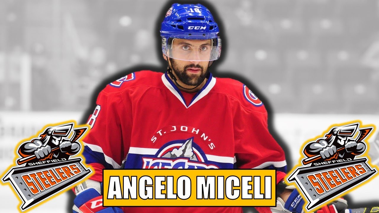 Sheffield Steelers Sign Angelo Miceli - YouTube