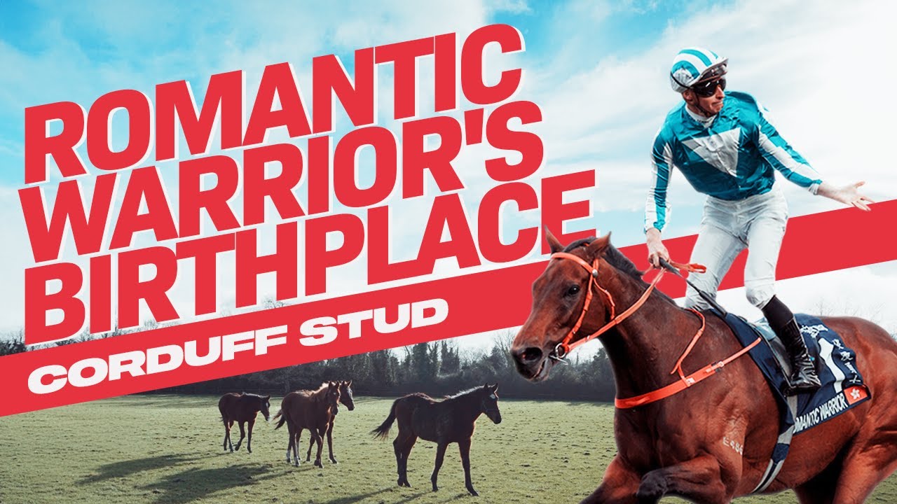 The Birthplace Of Romantic Warrior | Ireland's Corduff Stud | Saudi Cup ...