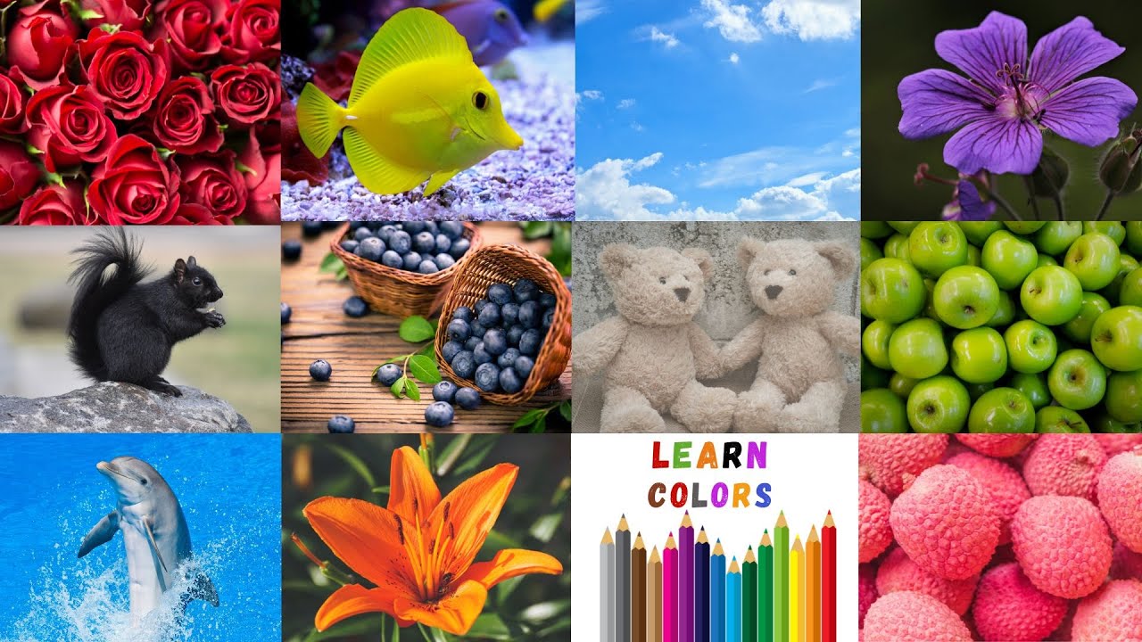 We Love all the Colors! | Lets Teach Colors Song for Kids & Child ...