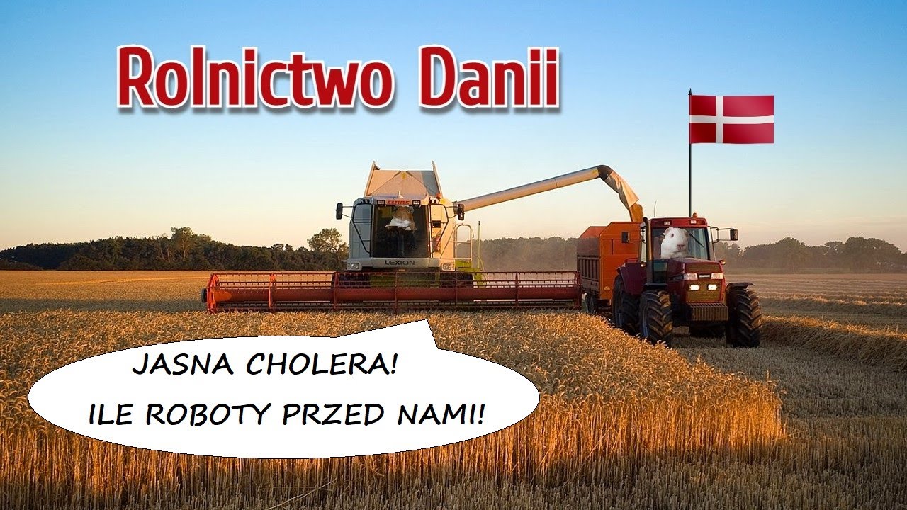 Rolnictwo Danii. Cechy charakterystyczne i przyczyny jego rozwoju ...