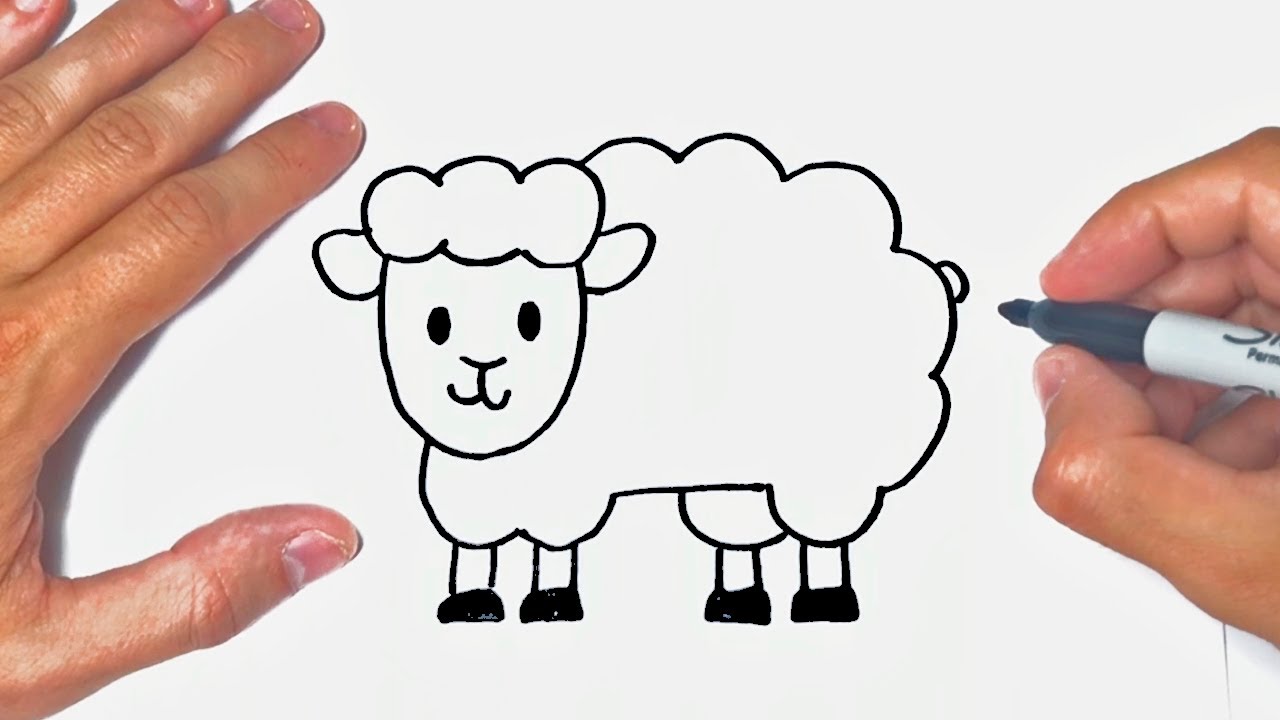 How to draw a Sheep Step by Step - YouTube