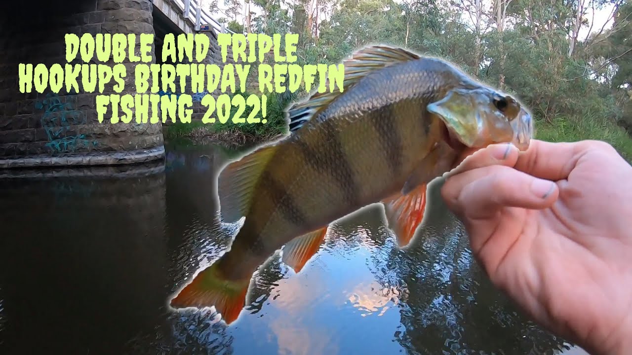 Redfin fishing MAYHEM! Birthday fish down at the local creek. #redfin # ...