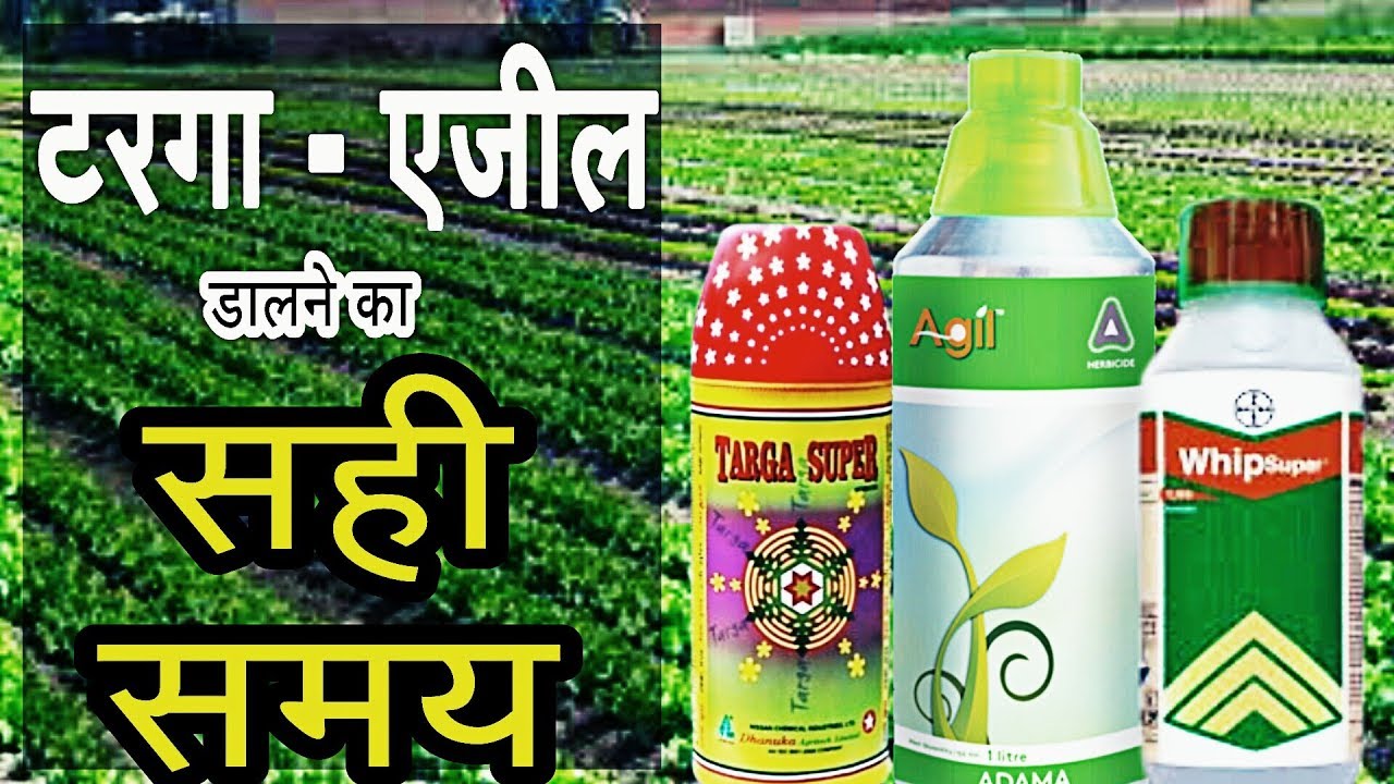 Targasuper Whipsuper Agil | grassy wead herbicide - YouTube