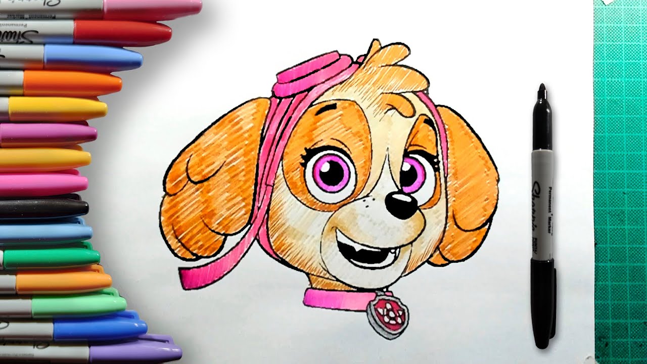 How to Color Skye from Paw Patrol Step by Step Easy Coloring pages for ...