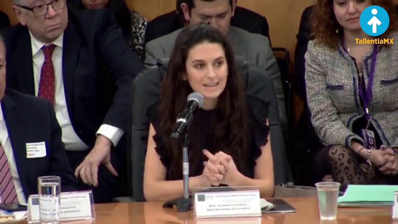 Participación de la Mtra. Alexandra Zapata en el Parlamento Abierto en ...