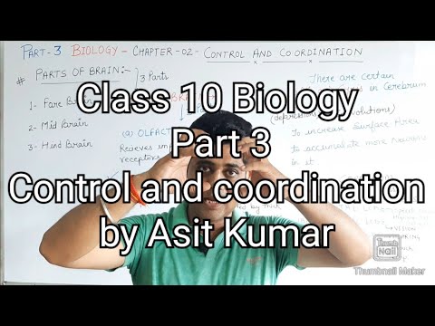 Part 3, Chapter 2 ,Class 10 Biology ( control and coordination) - YouTube