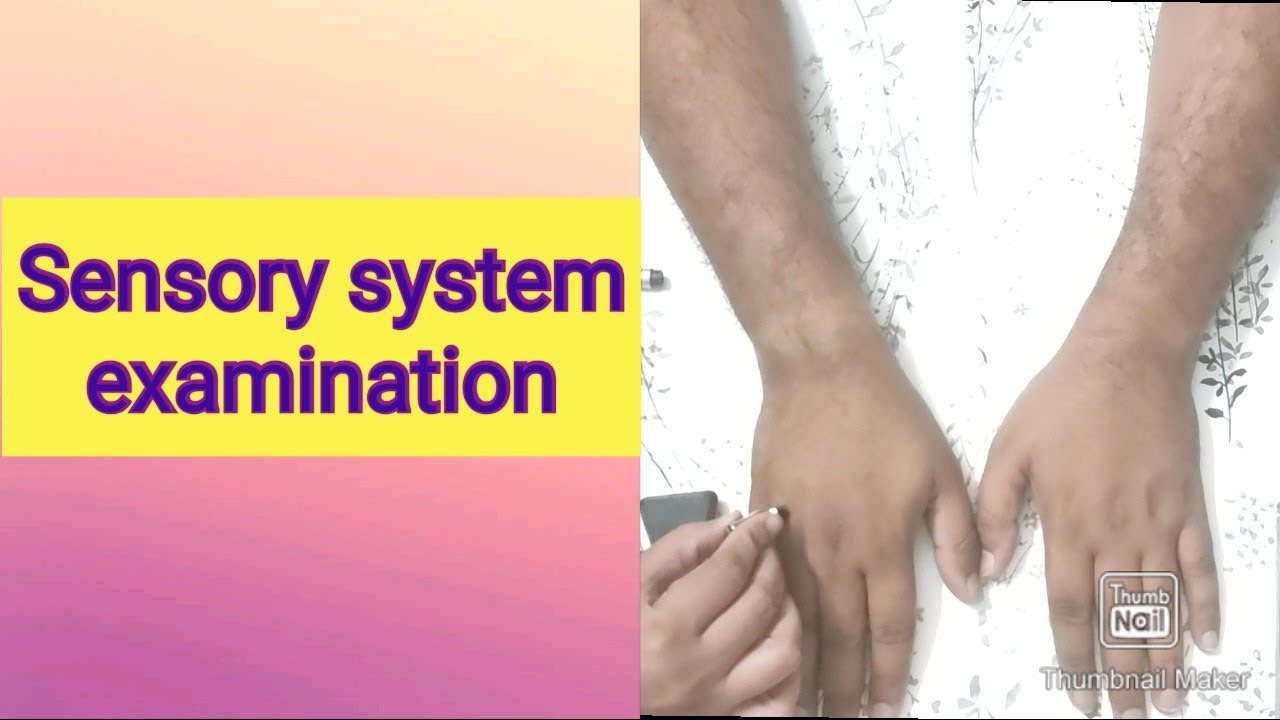 Sensory system examination - YouTube