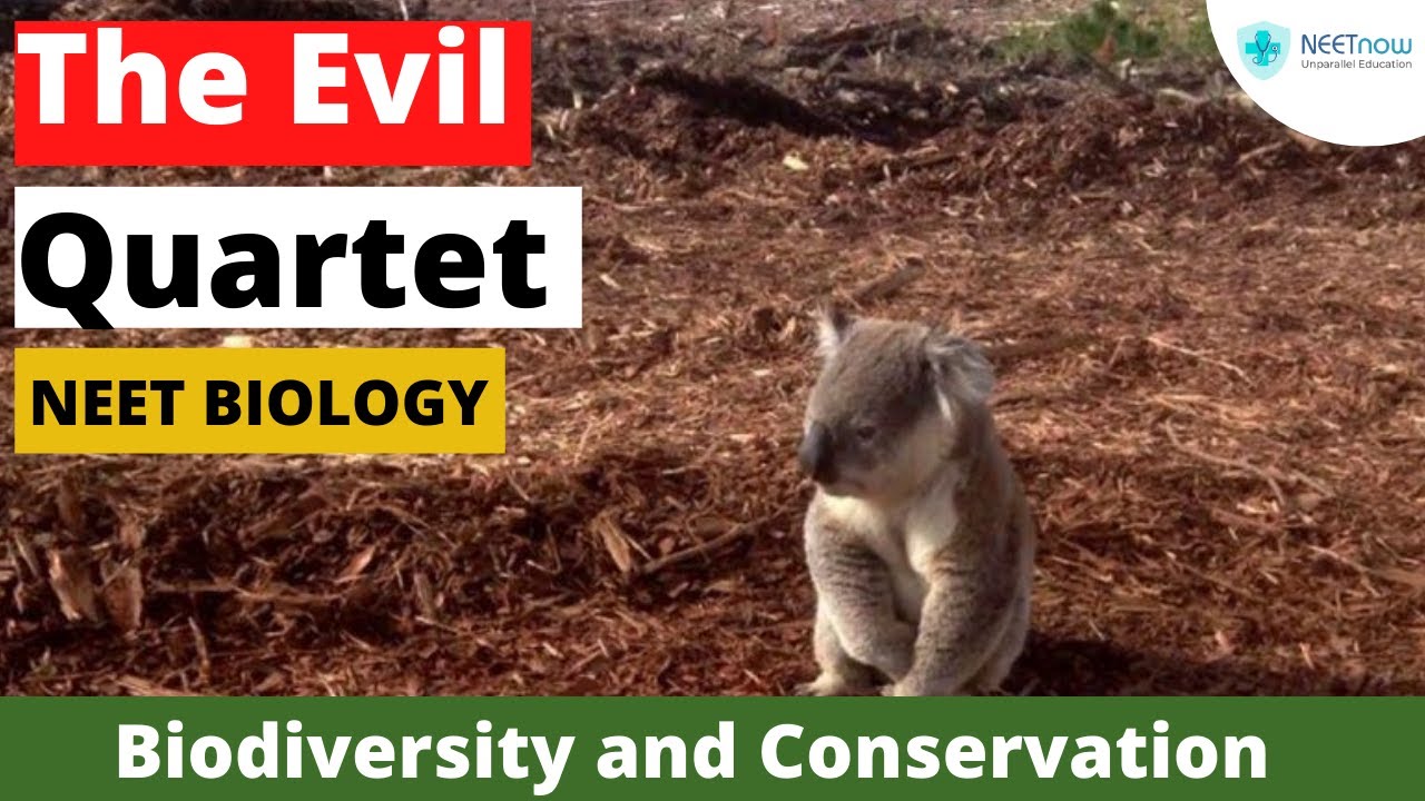 The Evil Quartet | Biodiversity and Conversation | Class 12 | NEET ...