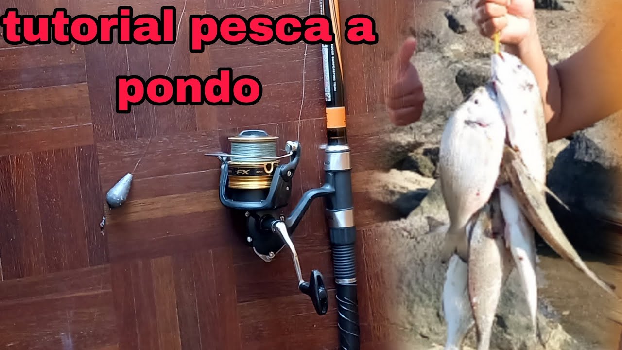 Full tutorial pesca a pondo a mare - YouTube
