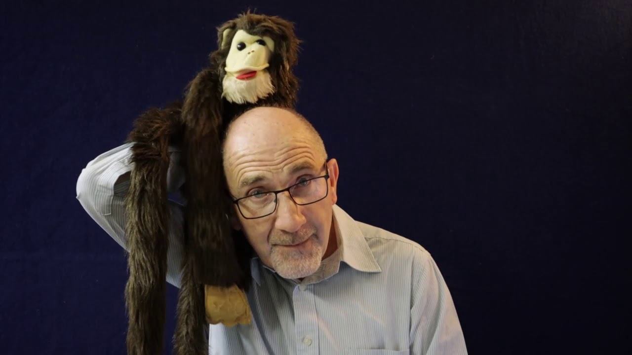 Meet Peppi Monkey - YouTube