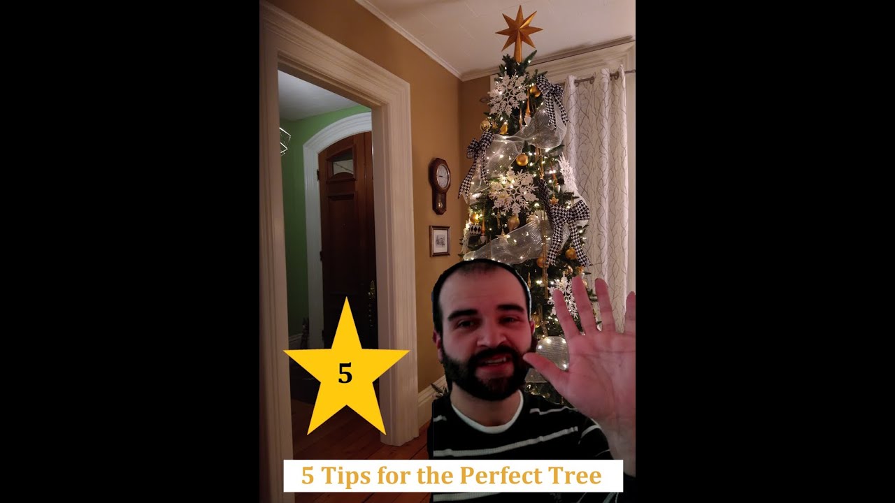 5 Tips for the Perfect Tree - YouTube