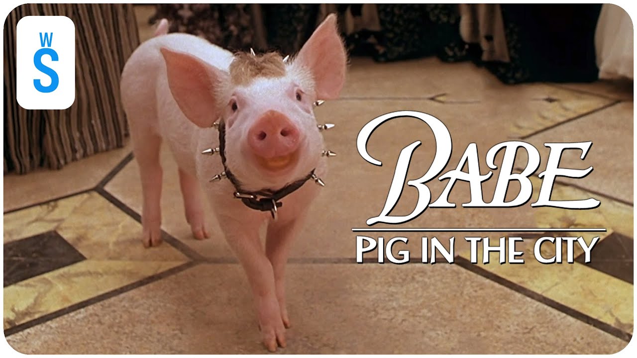 Babe: Pig in the City (1998) | Scene: A charity dinner - YouTube