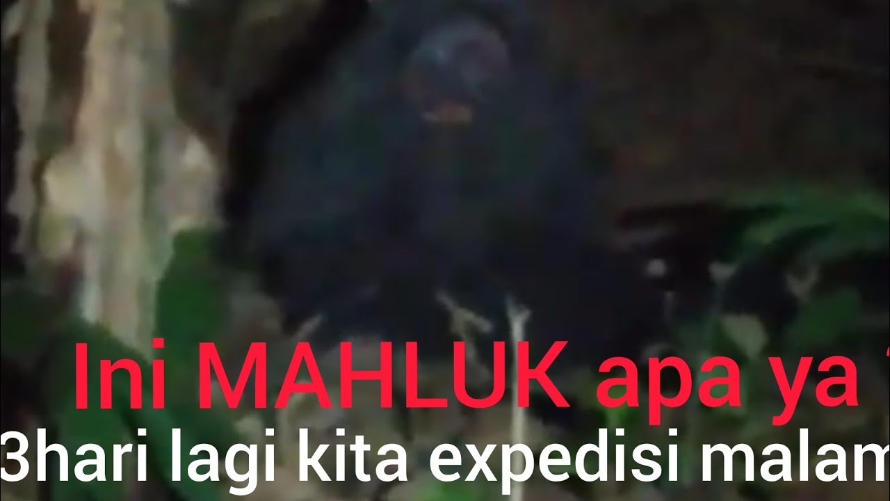 JENIS MAHLUK HALUS YG ADA DI SEKITAR KALIAN l SOSOK MAHLUK HALUS YG DI ...