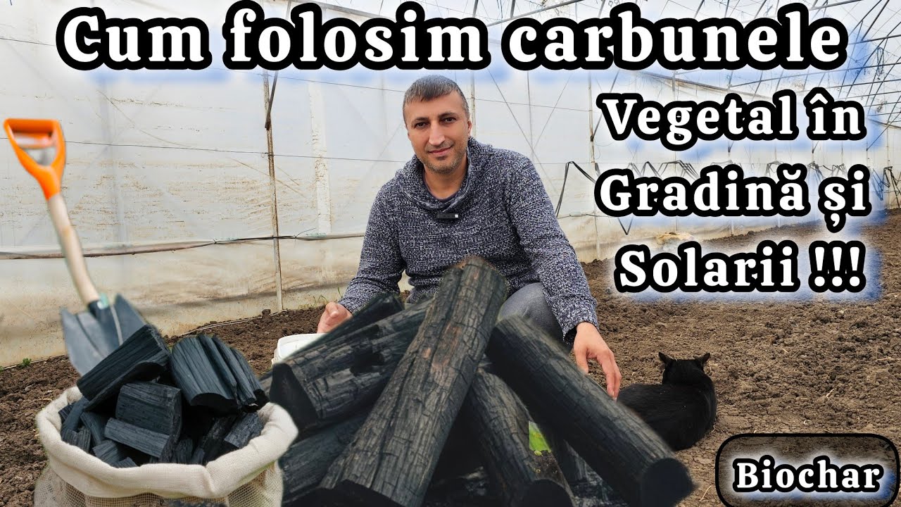 Carbune Vegetal – Cum Să Îmbunătățești Solul Natural în Grădina Ta Bio ...