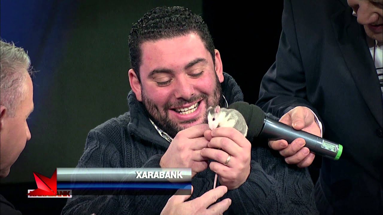 Xarabank - ALAN BATES 2014 - YouTube