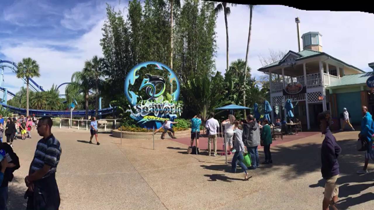 Manta Review SeaWorld Orlando- B&M Flying Coaster! - YouTube