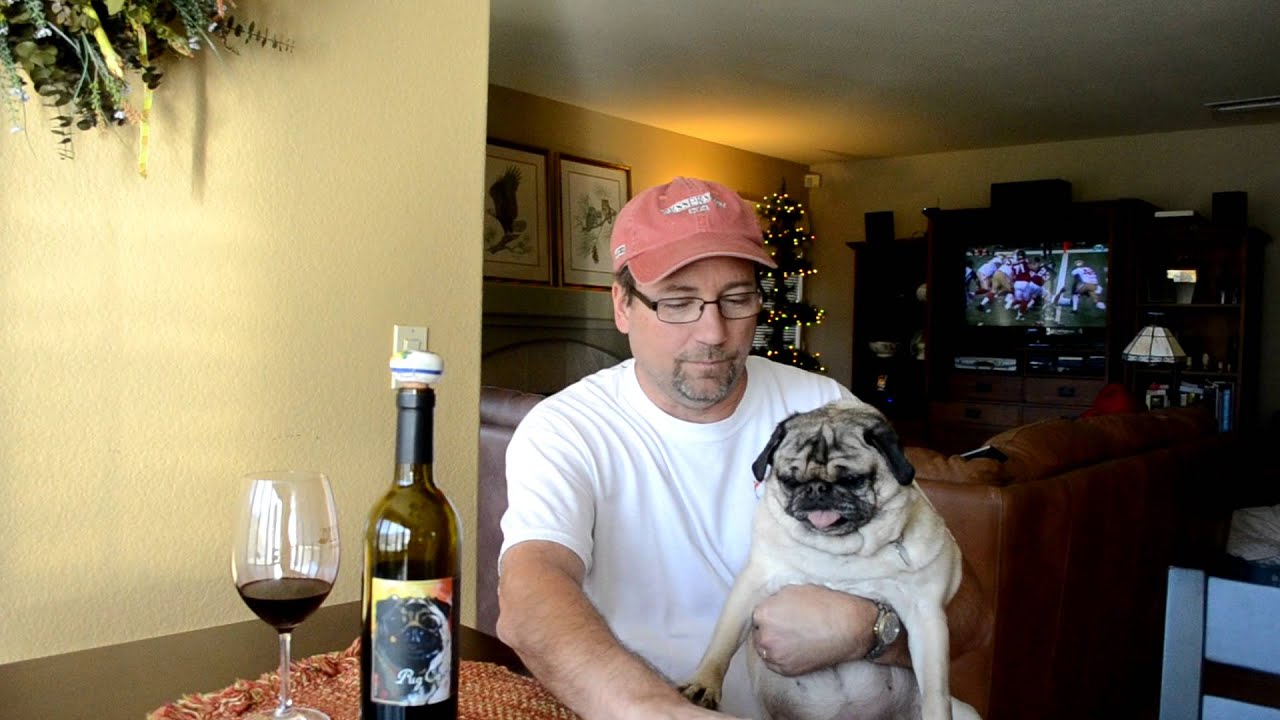 Pug Tasting Pug Cab - YouTube